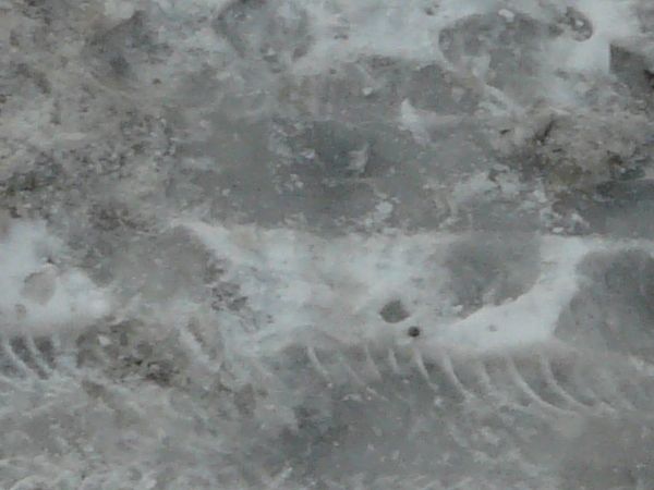 frozen ground texture 0061 - Texturelib